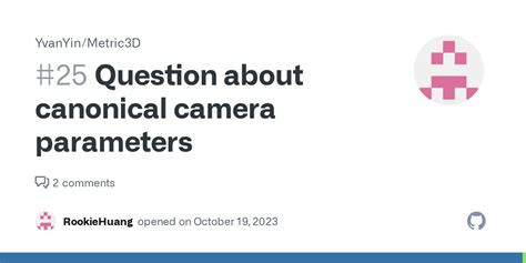 Question About Canonical Camera Parameters · Issue 25 · Yvanyinmetric3d · Github