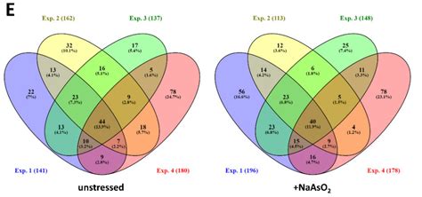 Apex2 Mediated Proximity Labeling Resolves The Ddit4 Interacting Proteome