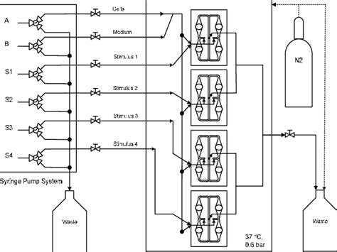 Schematic Of The Biosensor Array With External Flow Injection System Download Scientific