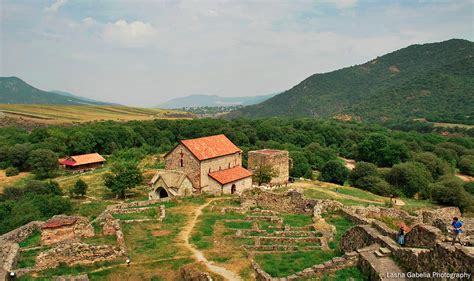 უძველესი პროფესია მეღვინეთუხუცესი რადიო ფორტუნა Fortuna Ge