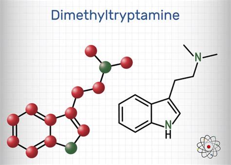รูปภาพdimethyltryptamine เลือกดูภาพถ่ายสต็อก เวกเตอร์ และวิดีโอ10369