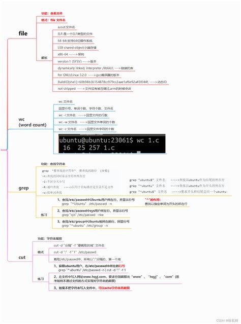 C高级 Linux中的文件相关指令 Csdn博客