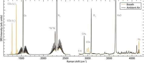 Spectral Overview Simultaneously Detected Chemical Species Found In Download Scientific