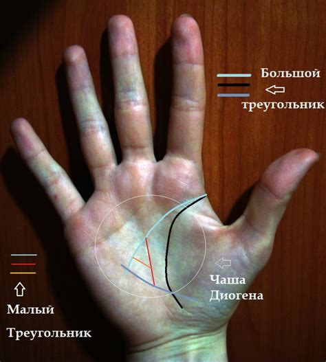 Хиромантия Линия Жизни Фото С Примерами —