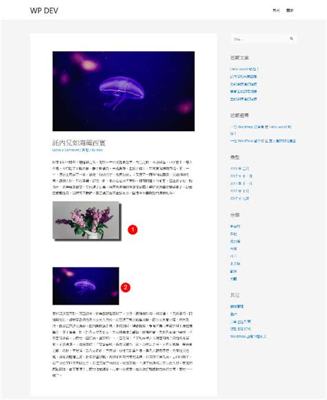 wordpress css shadow effects 陰影式樣技巧 麥克斯與沃普雷司