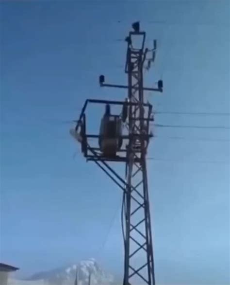 Ahmet Colakoglu Posted On Linkedin