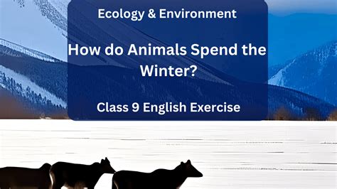 Unit 7 Ecology And Environment How Do Animals Spend The Winter Class 9