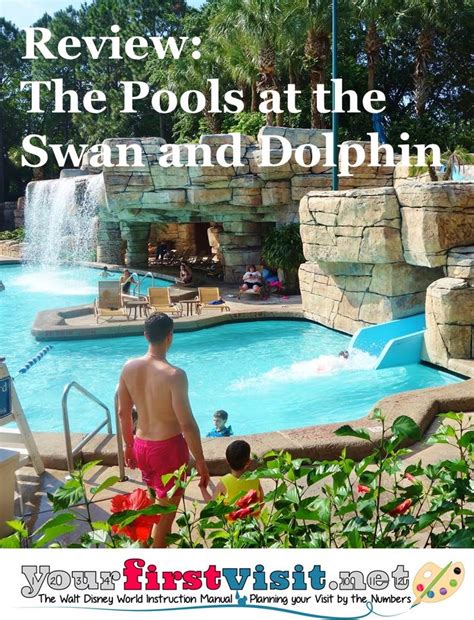 Dolphin Hotel Pool Slide At Charles Rolle Blog