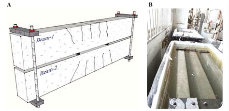 Wet Dry Cycling Conditions And Beam Specimens A Sustained Load Download Scientific Diagram