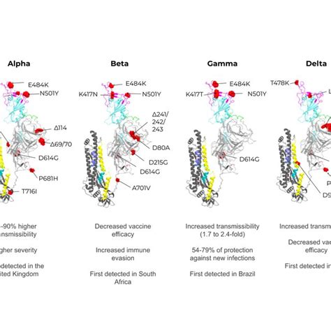 Mapping Mutations Of Sars Cov 2 Variants Of Concern Vocs And