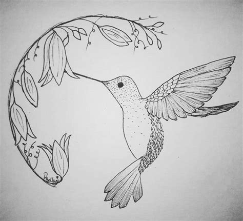 Hummingbird And Flower Drawings