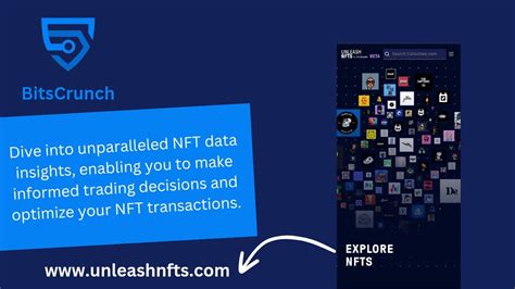 analysis of bitscrunch navigating the landscape of ai enhanced nft