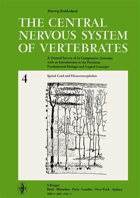 X The Cerebellum The Central Nervous System Of Vertebrates Vol