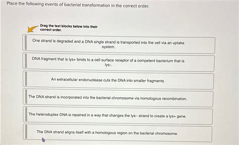 Solved Place The Following Events Of Bacterial