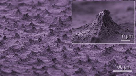 Versatile Self Assembled Electrospun Micropyramid Arrays For High