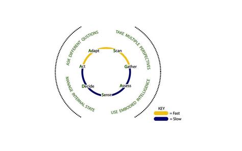 Entry 84 By Mazadulhaque22 For Create Decision Making Frameworks Freelancer