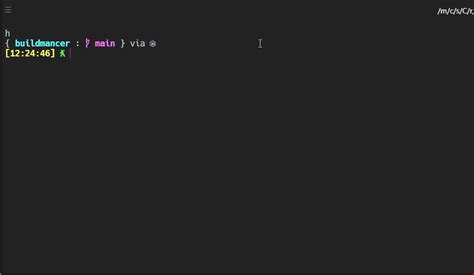 HyperJS Renders L And H On Every Newline On Windows WSL Issue 6532