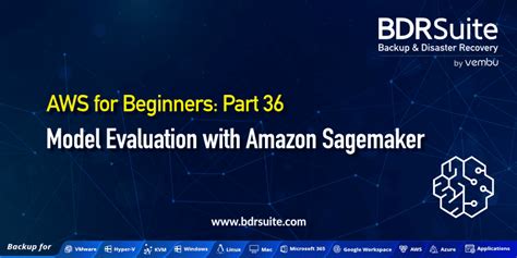 Model Evaluation With Amazon SageMaker BDRSuite