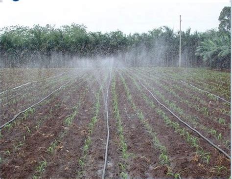 Irrigation Methods A Beginners Guide Agri Farming