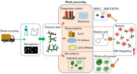 Biological Degradation Of Plastics And Microplastics A Recent Perspective On Associated