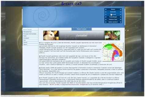 Atestat Informatica Cutiozitati Atestat Informatica Html 2020