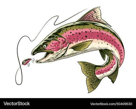 Rainbow Trout Fish Jumping Out Water Royalty Free Vector
