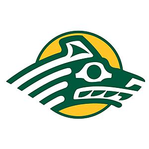 College Hockey Inc Alaska Anchorage