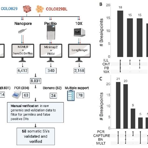 Nygc Somatic Pipeline For Tumor Normal Whole Genome Sequencing Samples Download Scientific