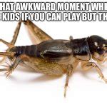 Cricket Meme Generator Imgflip