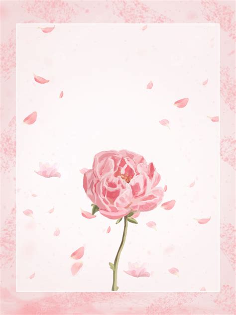 우아한 핑크 배경 손으로 그린 장미 꽃 낭만적 인 아름 다운 배경 떨어지는 꽃잎 배경 화면 및 일러스트 무료 다운로드 Pngtree