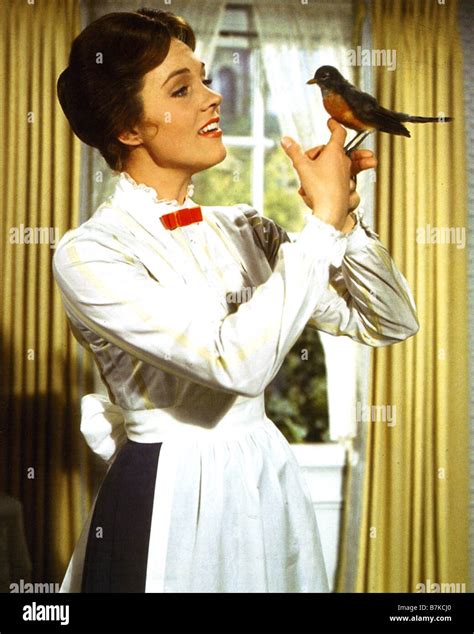 Mary Poppins Julie Andrews Kostuum
