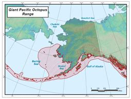 Giant Pacific Octopus Habitat