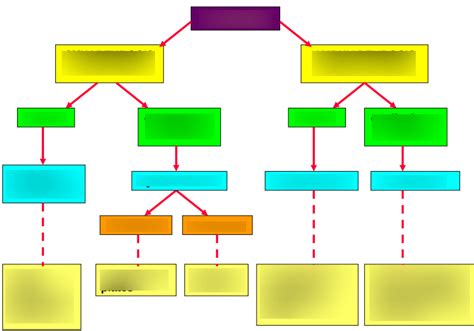 Joints Intro Chart Diagram Quizlet