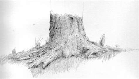 Tree Roots Sketch At PaintingValley Com Explore Collection Of Tree