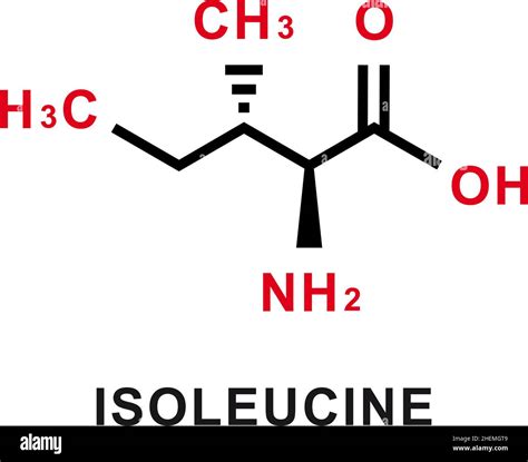 Isoleucine Structure