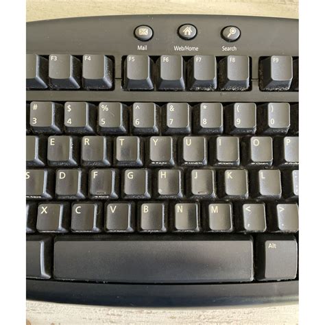 Microsoft Basic Keyboard 10a Wired Keyboard Oem Etsy Singapore