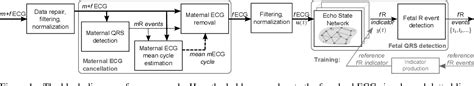 Figure 1 From Noninvasive Fetal Qrs Detection Using Echo State Network