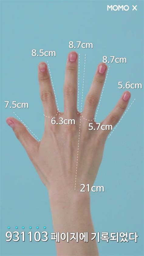 손큰 아이돌들의 손크기cm를 알아보았다if 인스티즈instiz 이슈 카테고리