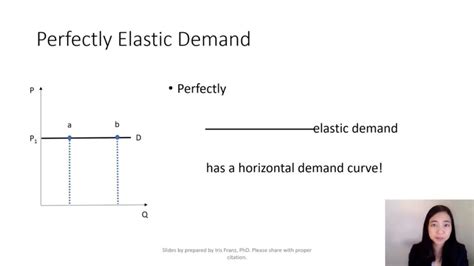 Examples Of Perfectly Elastic Demand Explained