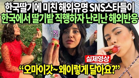 한국딸기에 미친 해외유명 Sns스타들이 한국에서 딸기밭 직행하자 난리난 해외반응 Youtube