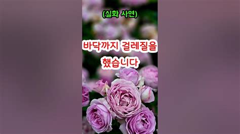 실화 매일 벗는 남자 사연 이혼 남편 실화사연 결혼 인생 행복 Youtube