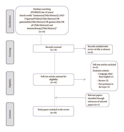 Flow Chart Of Search And Selection Strategy Download Scientific Diagram