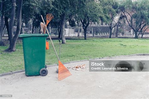 갈퀴 삽 빗자루가 있는 쓰레기통 그 옆에 마른 나뭇잎이 공원에 쌓여 있고 배경에 나무 일반 수평면 복사 공간이 있습니다 개념 공공 장소 또는 원예의 관리 및 유지 관리