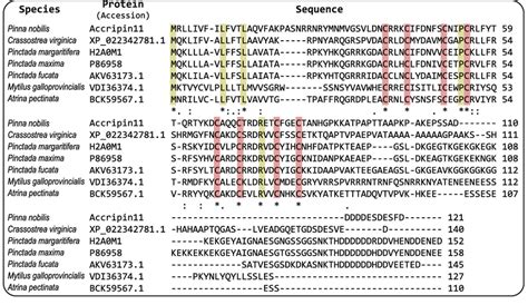 Sequence Alignment Of Accripin11 Including Signal Peptides With Six Download Scientific
