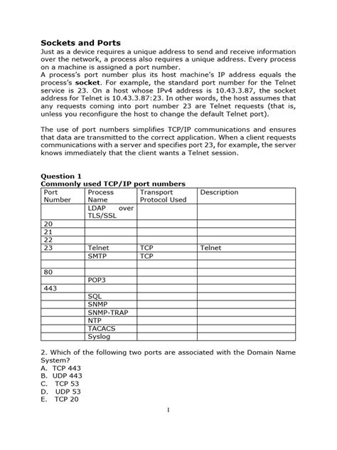 Sockets And Ports Assignment Pdf Port Computer Networking Transmission Control Protocol