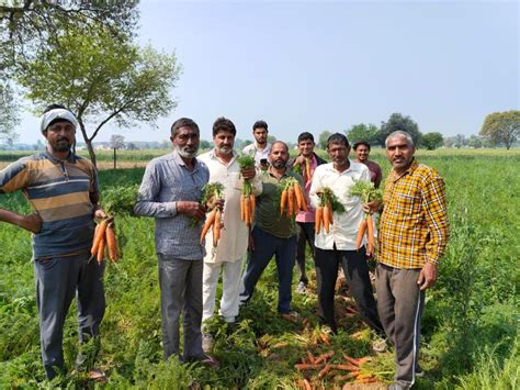 Saikat Roy On Linkedin Startup Opportunities Farmers Solarpumps