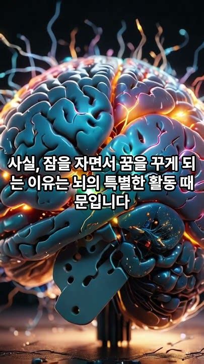 왜 우리는 잠을자면서 꿈을 꾸는걸까 잠 꿈 왜 궁금한 Youtube