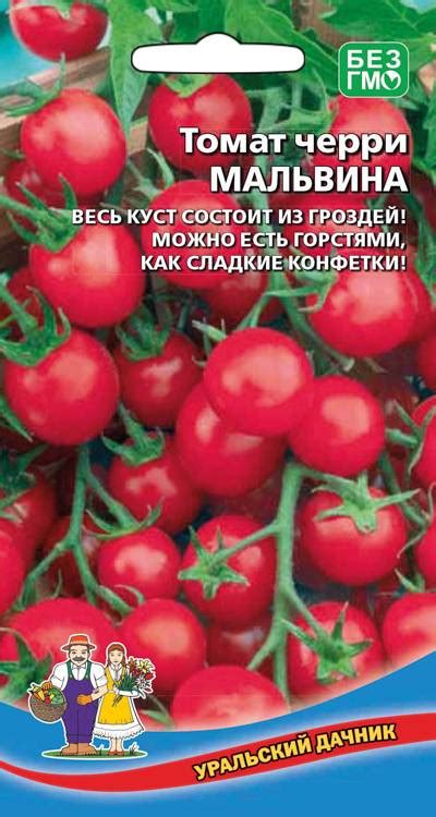 Томат Мальвина
