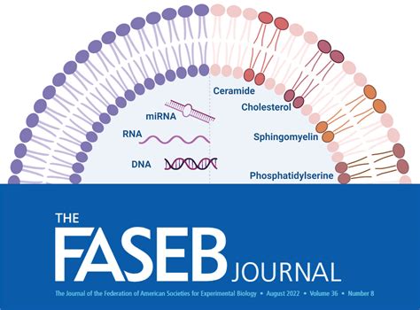 Extracellular Vesicles A Key To The Success Of Early Stages Of