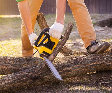 Cutting Down A Tree The Rules And Regulations Homebuilding